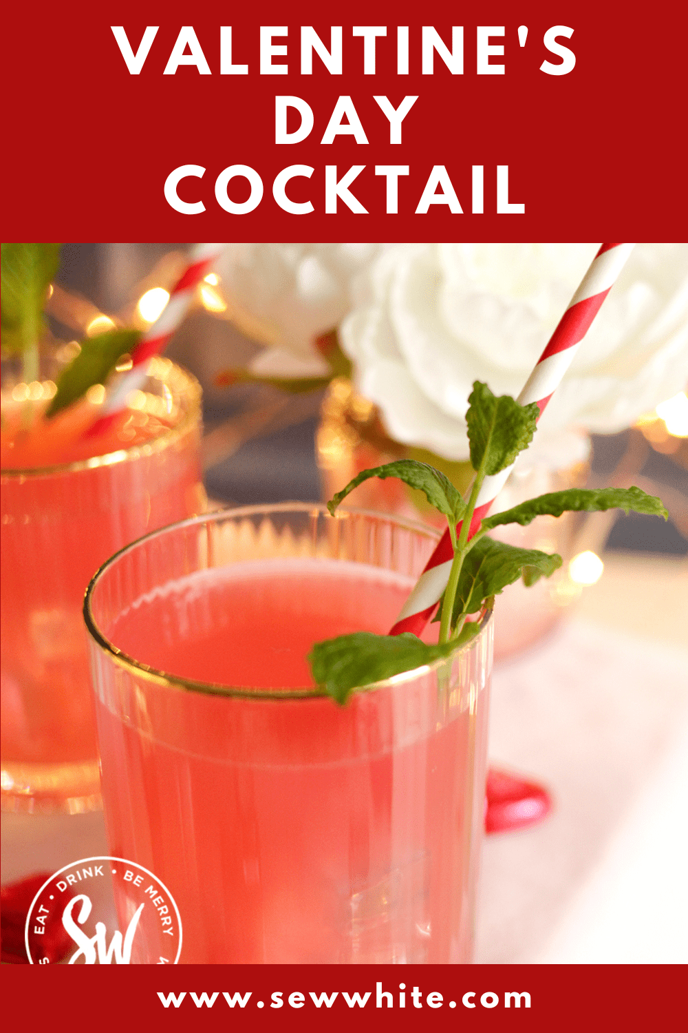 Gin Elderflower Cocktail - Fruity Gin Lemonade Cocktail - Sew White